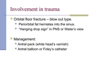 Comprehensive Overview of Maxillary Sinus Anatomy, Pathology, and ...