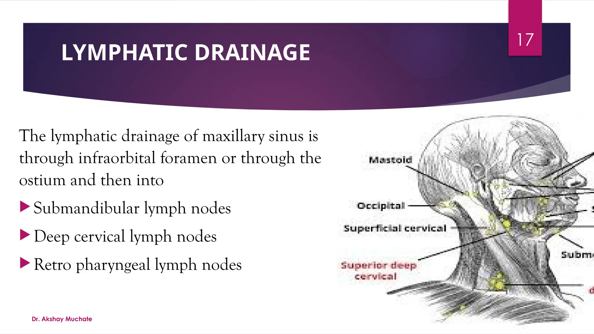 MAXILLARY SINUS - Dr. Akshay G. Muchate.pptx