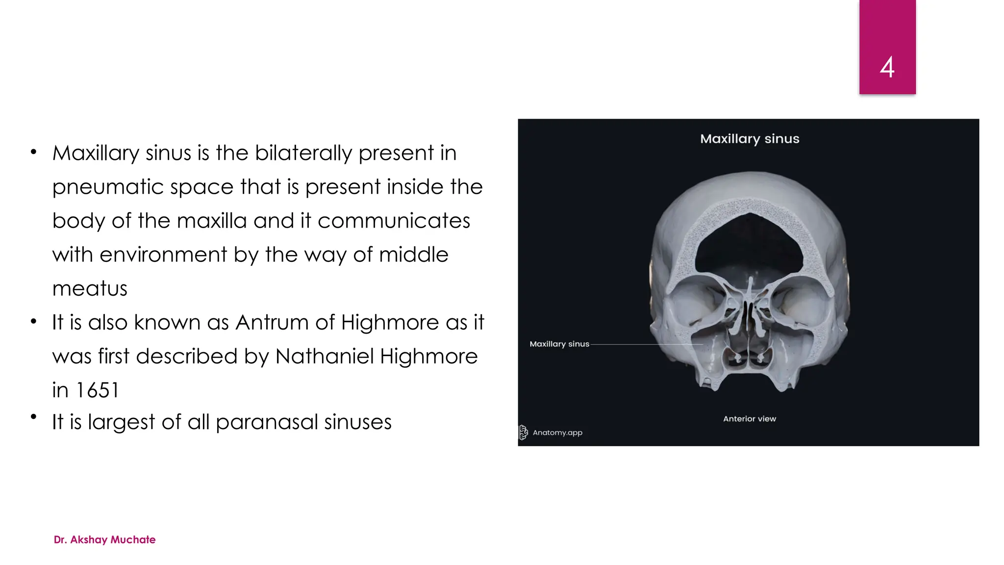 MAXILLARY SINUS - Dr. Akshay G. Muchate.pptx