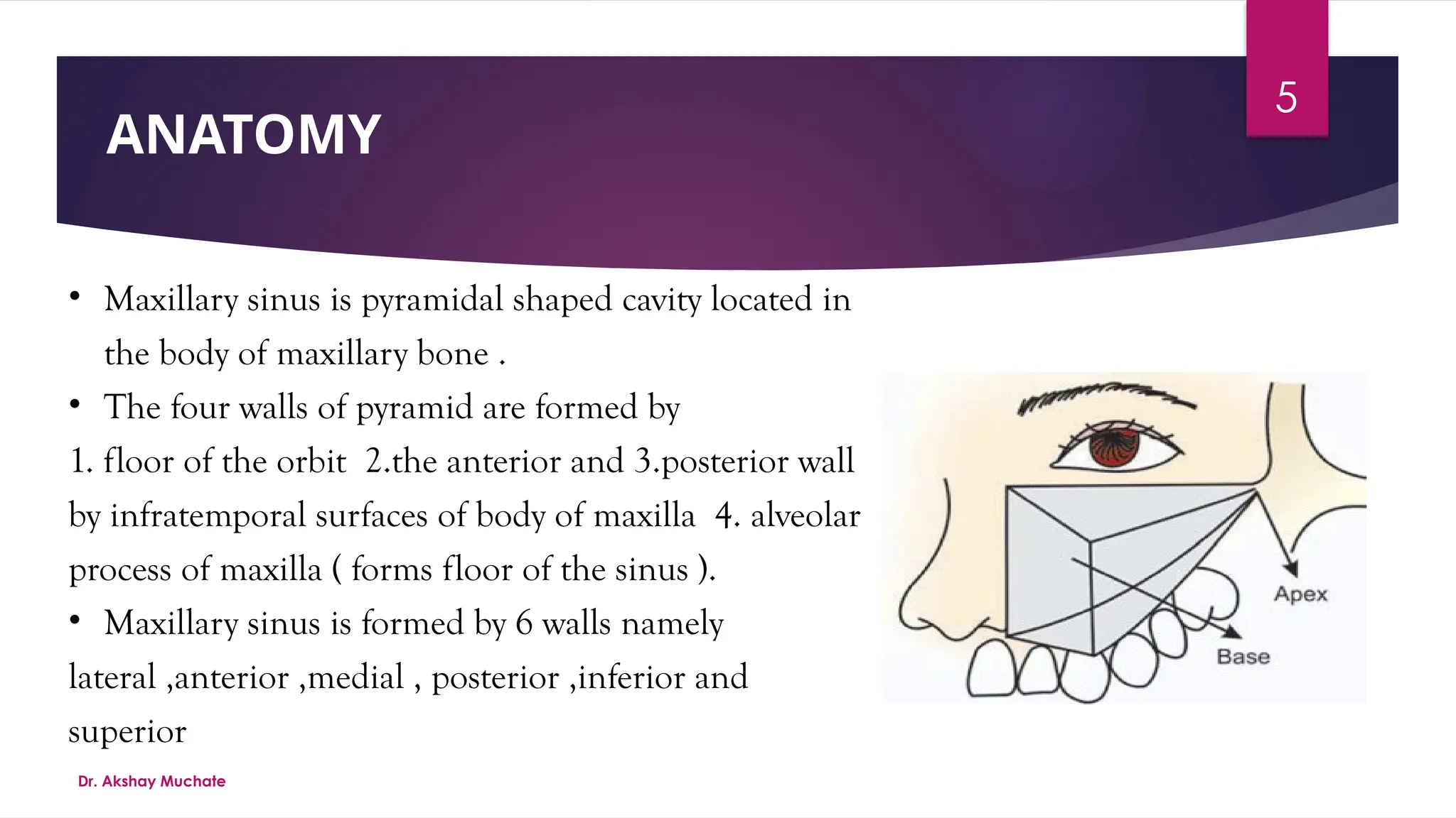 MAXILLARY SINUS - Dr. Akshay G. Muchate.pptx