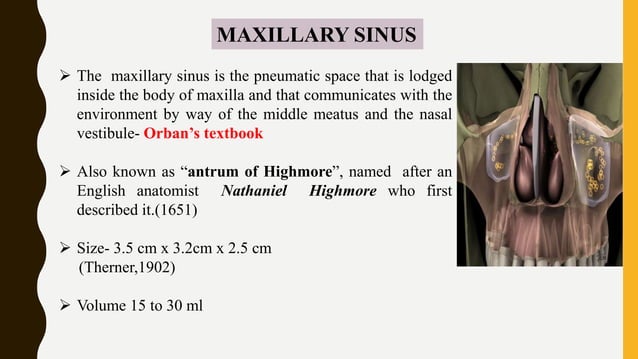 Maxillary sinus aishu.pptx