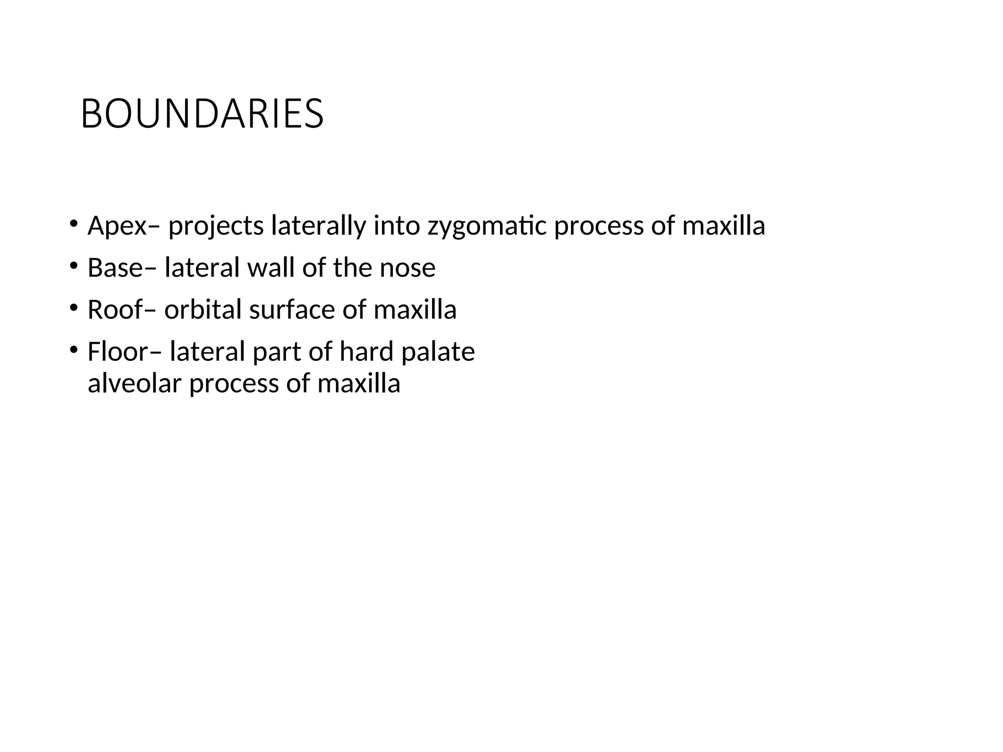 MAXILLARY SINUS AND ITS SURGICAL ANATOMY (2) (1) [Autosaved].ppt