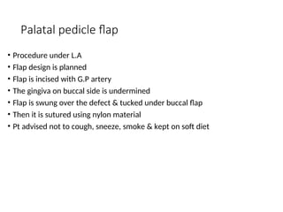 MAXILLARY SINUS AND ITS SURGICAL ANATOMY (2) (1) [Autosaved].ppt