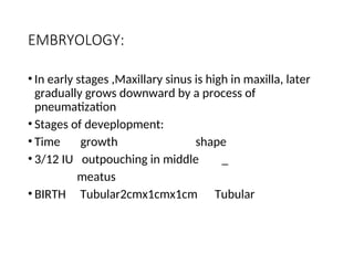 MAXILLARY SINUS AND ITS SURGICAL ANATOMY (2) (1) [Autosaved].ppt