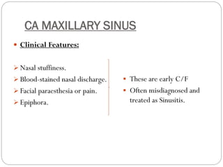 Maxillary sinus carcinoma | PPTX