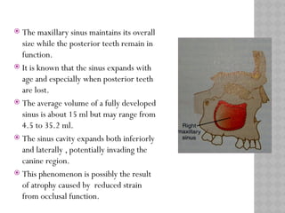 MAXILLARY SINUS ELEVATION floor for implant | PPTX