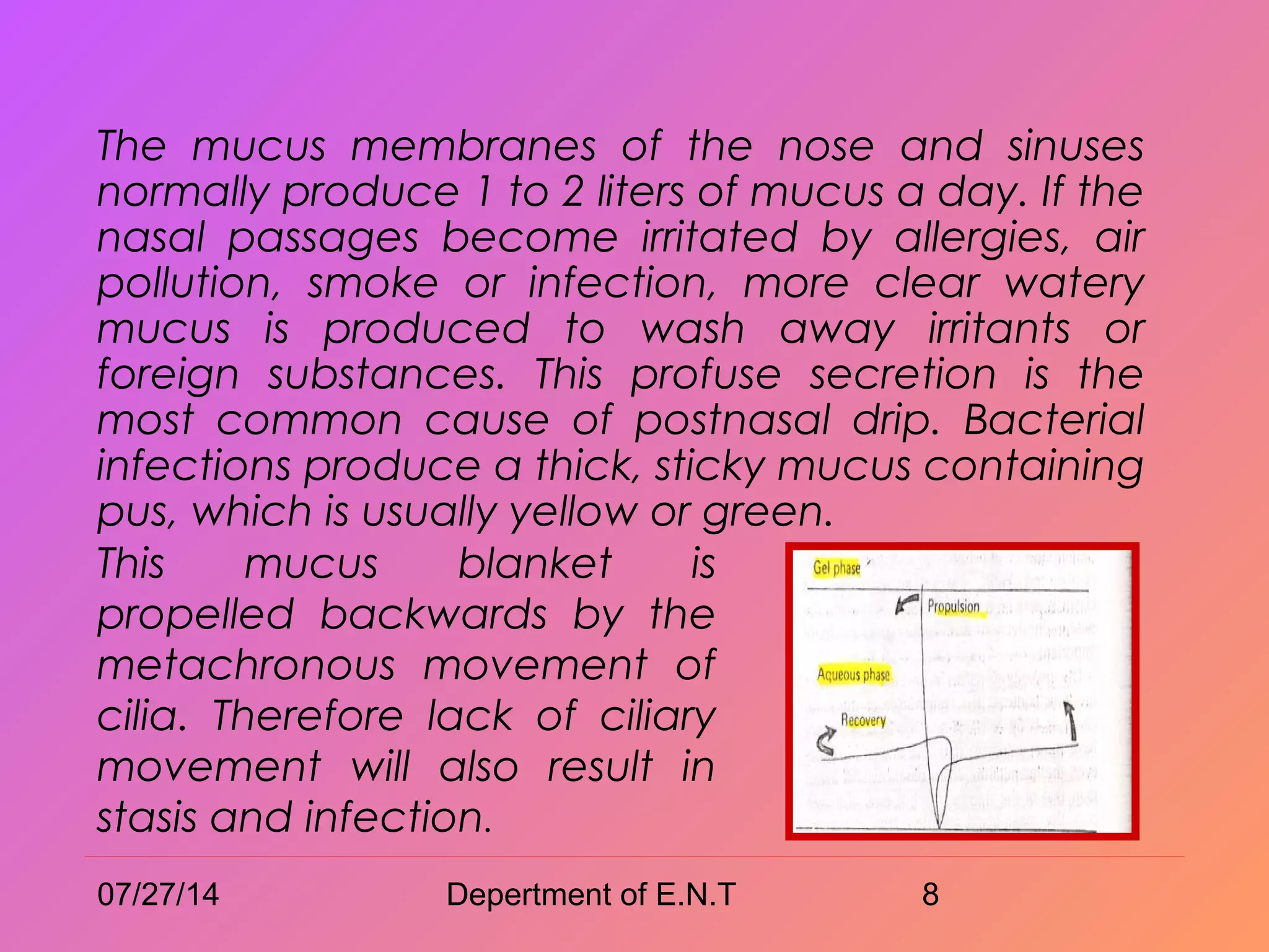 Maxillary sinusitis | PPT