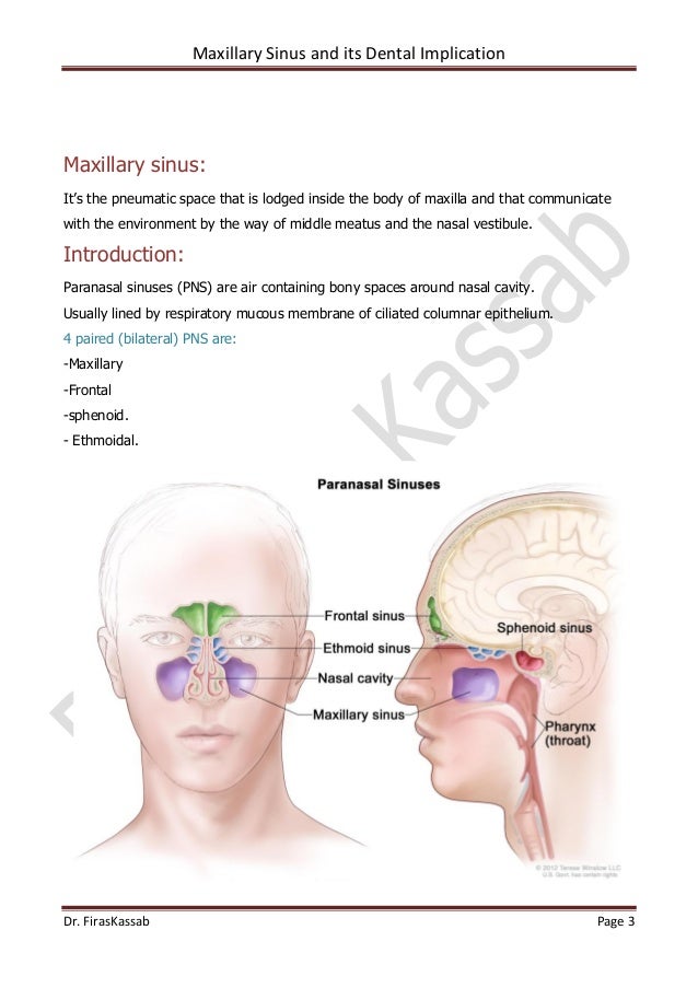 Maxillary sinus & its dental implication