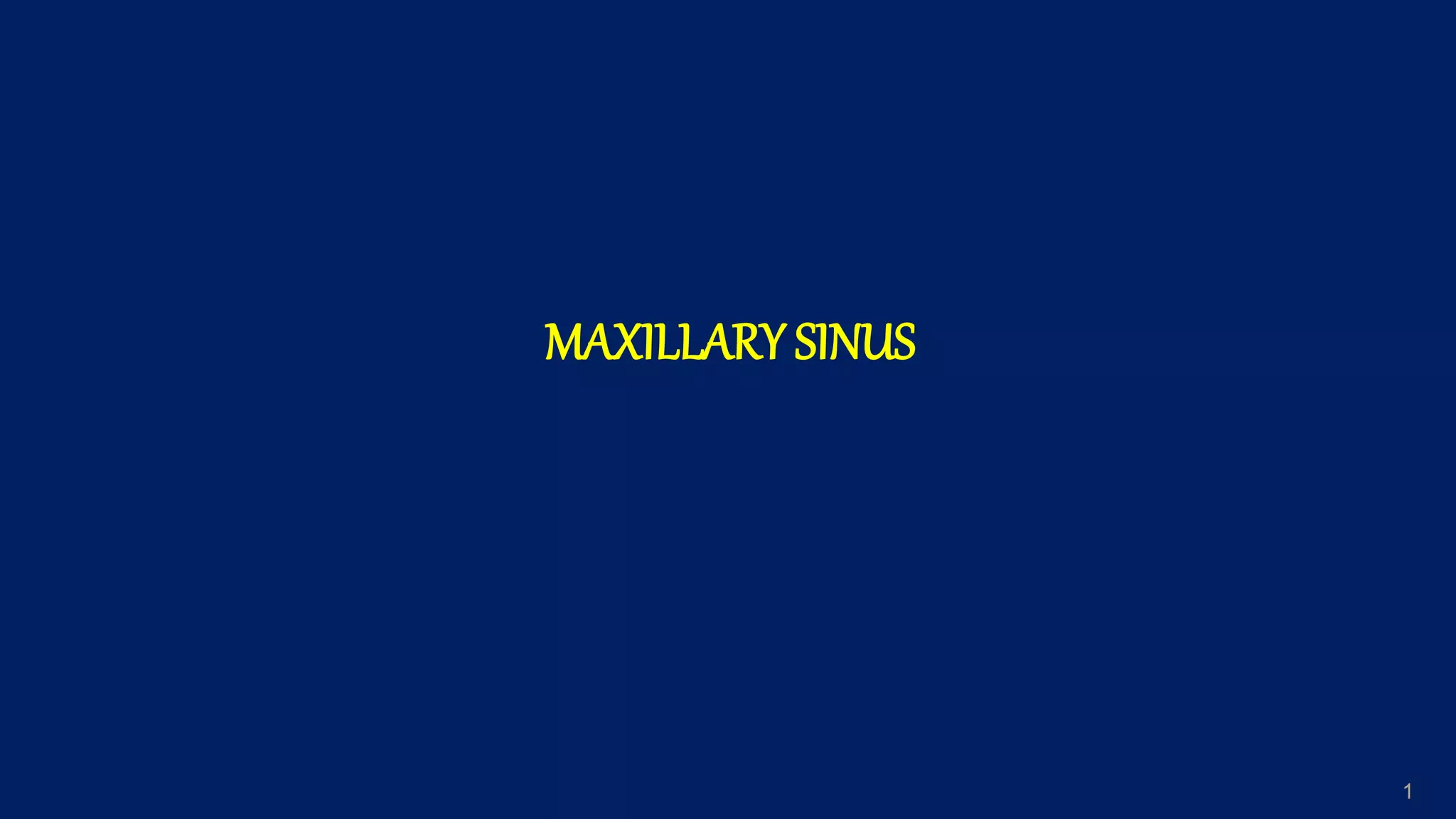maxillary sinus anatomy histology.pptx