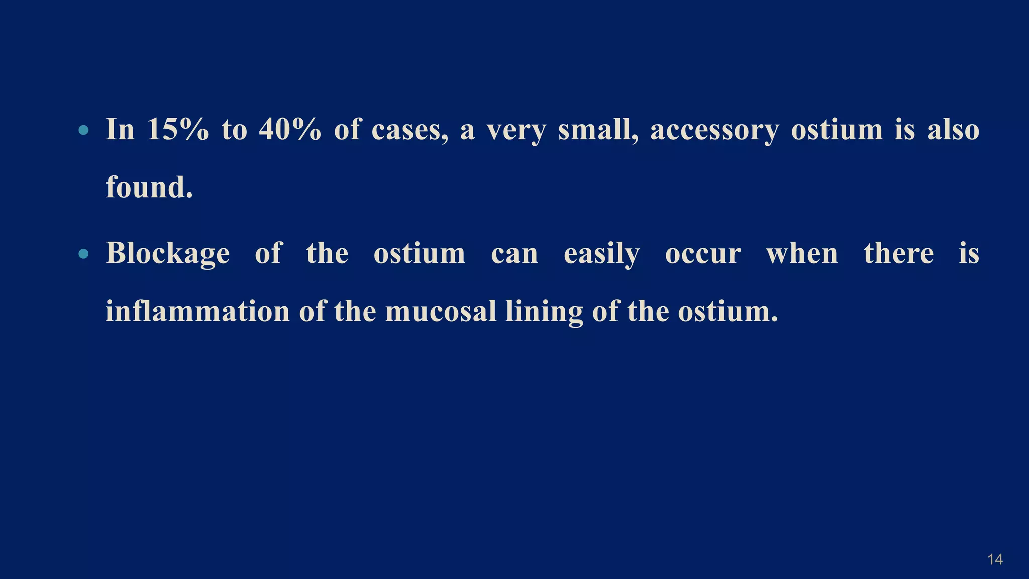 maxillary sinus anatomy histology.pptx