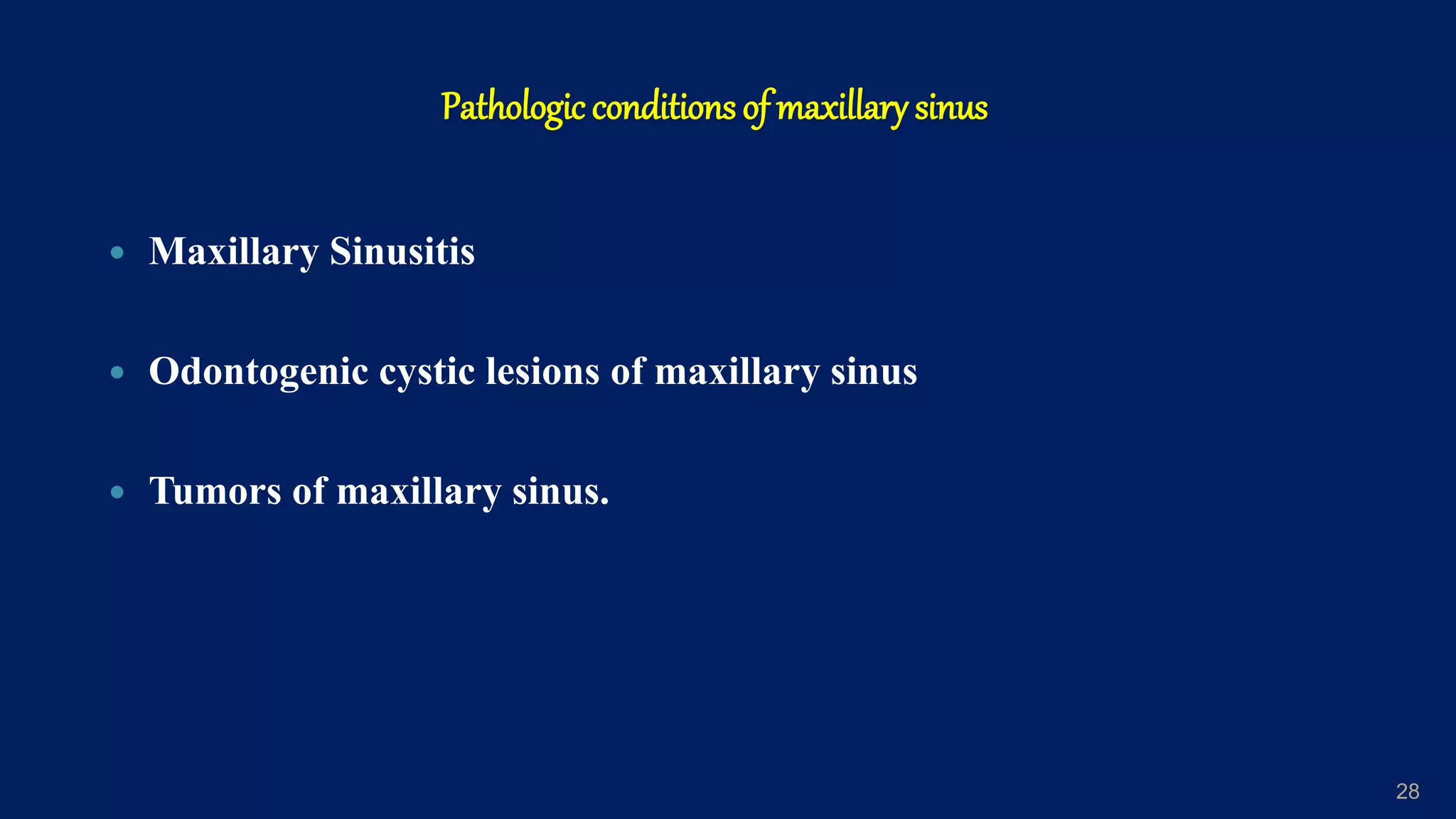 maxillary sinus anatomy histology.pptx