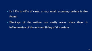 maxillary sinus anatomy histology.pptx
