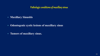 maxillary sinus anatomy histology.pptx