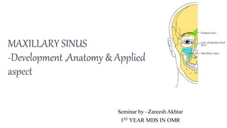 Maxillary sinus part 1 | PPTX