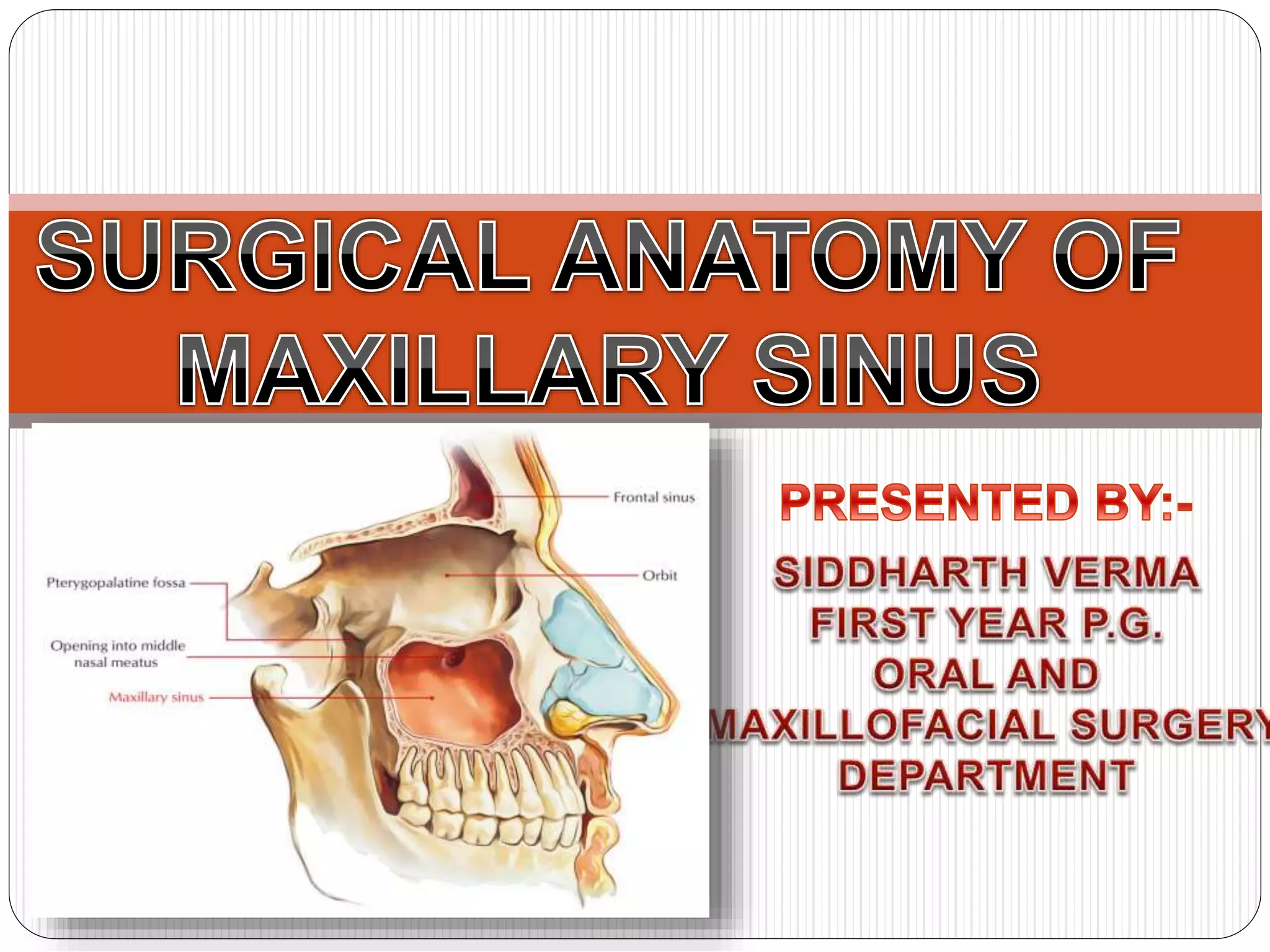 Maxillary sinus presentation | PPT
