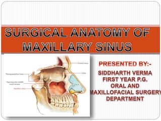 Maxillary sinus presentation | PPT