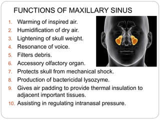 Maxillary sinus presentation | PPT