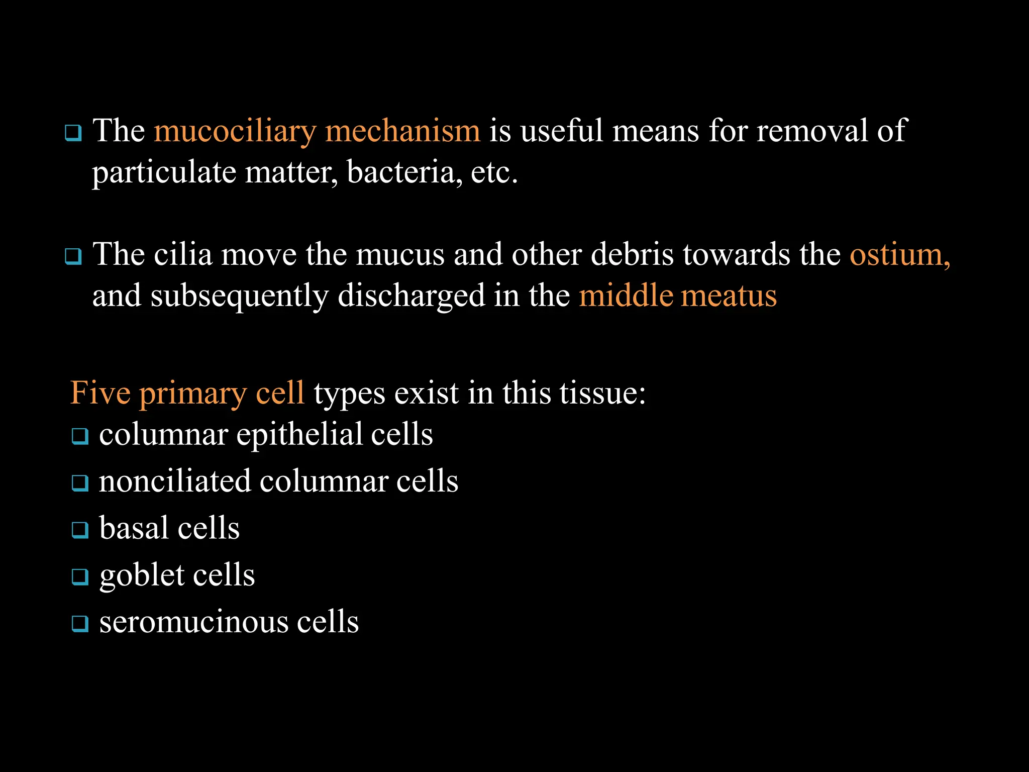 maxillarysinus and antrum of highmore.pptx