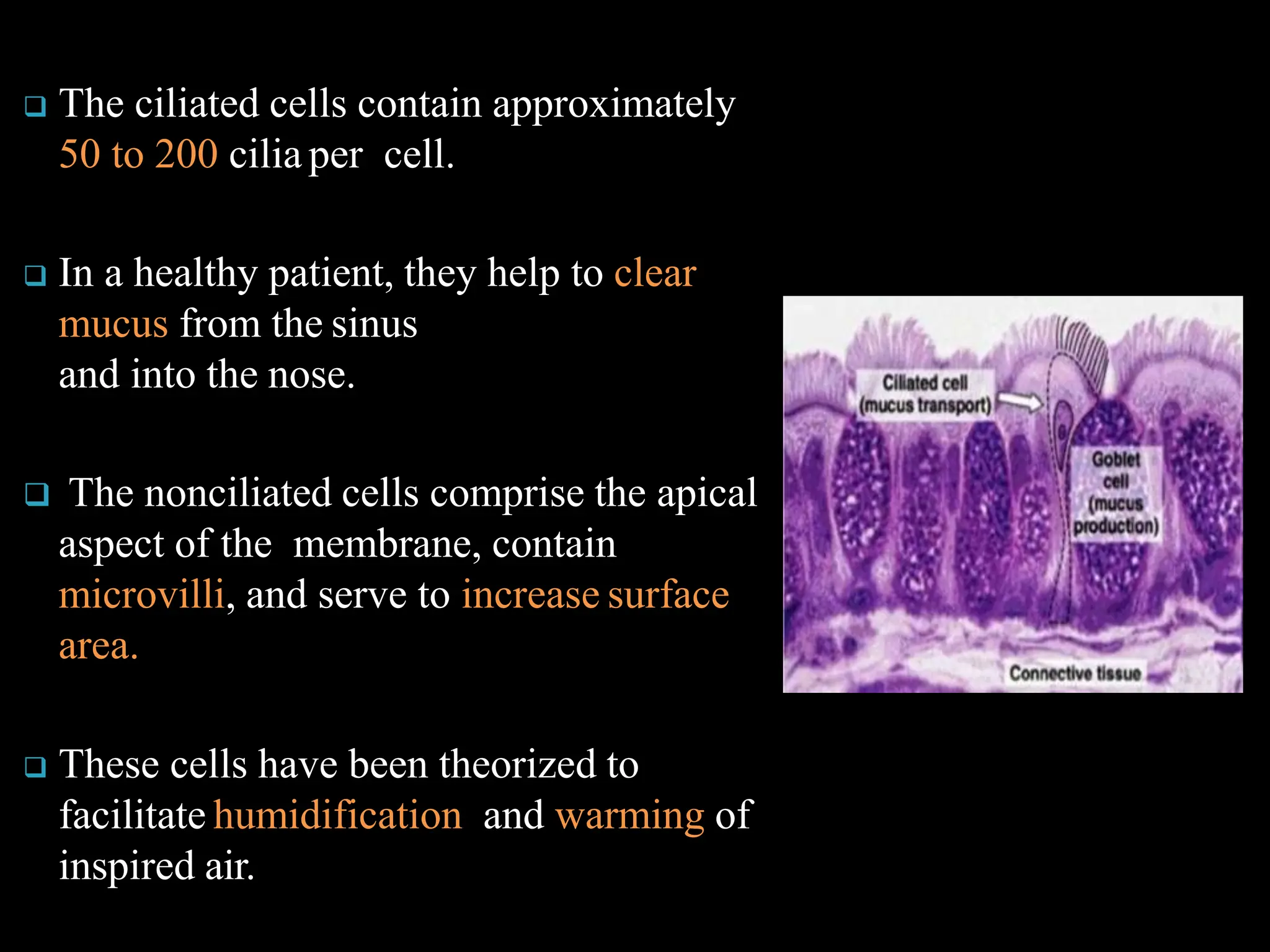 maxillarysinus and antrum of highmore.pptx