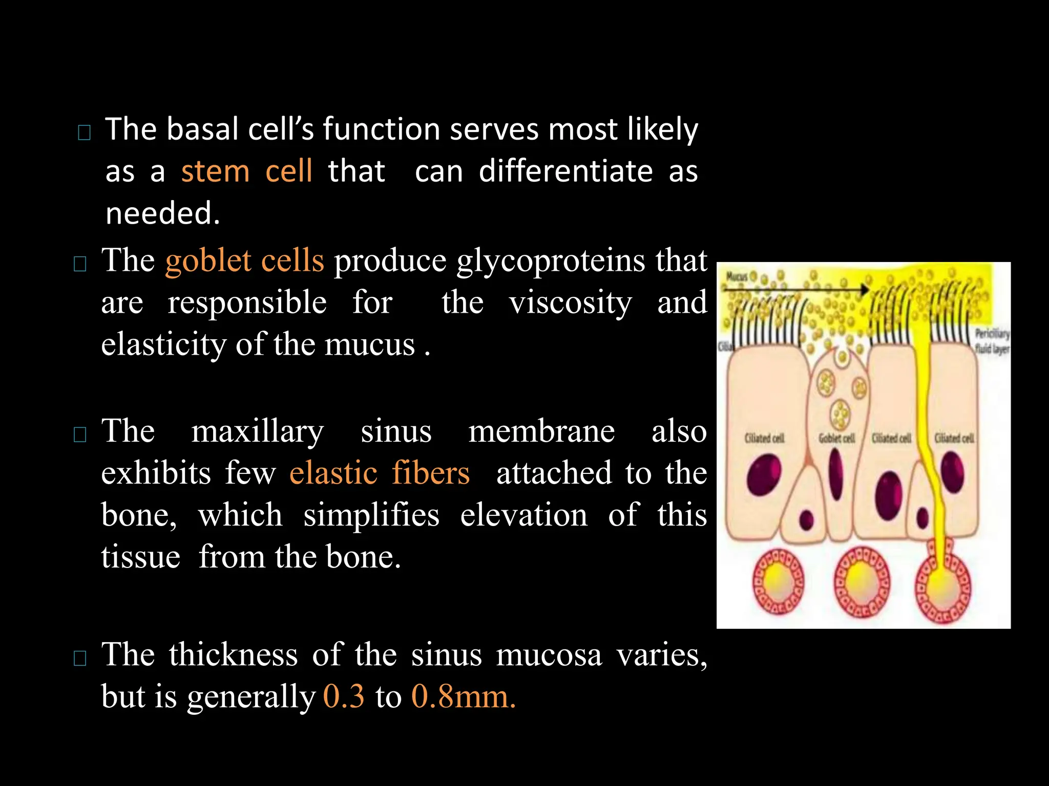 maxillarysinus and antrum of highmore.pptx