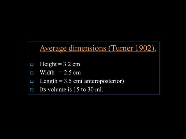 maxillarysinus and antrum of highmore.pptx