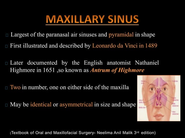 maxillarysinus and antrum of highmore.pptx