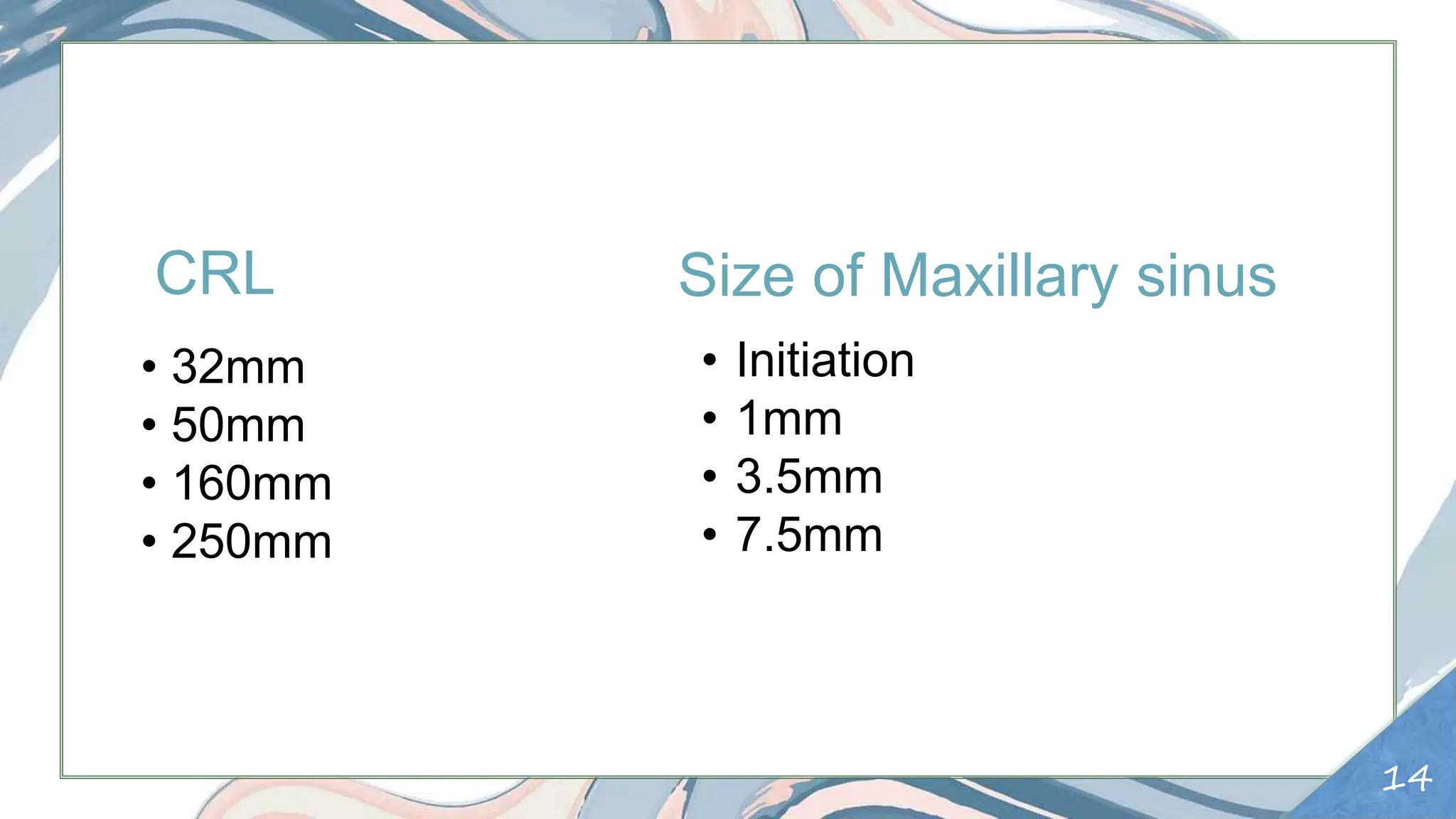 maxillary sinus anatomy histology oralbio | PPTX | Ear, Nose and Throat Conditions | Diseases ...