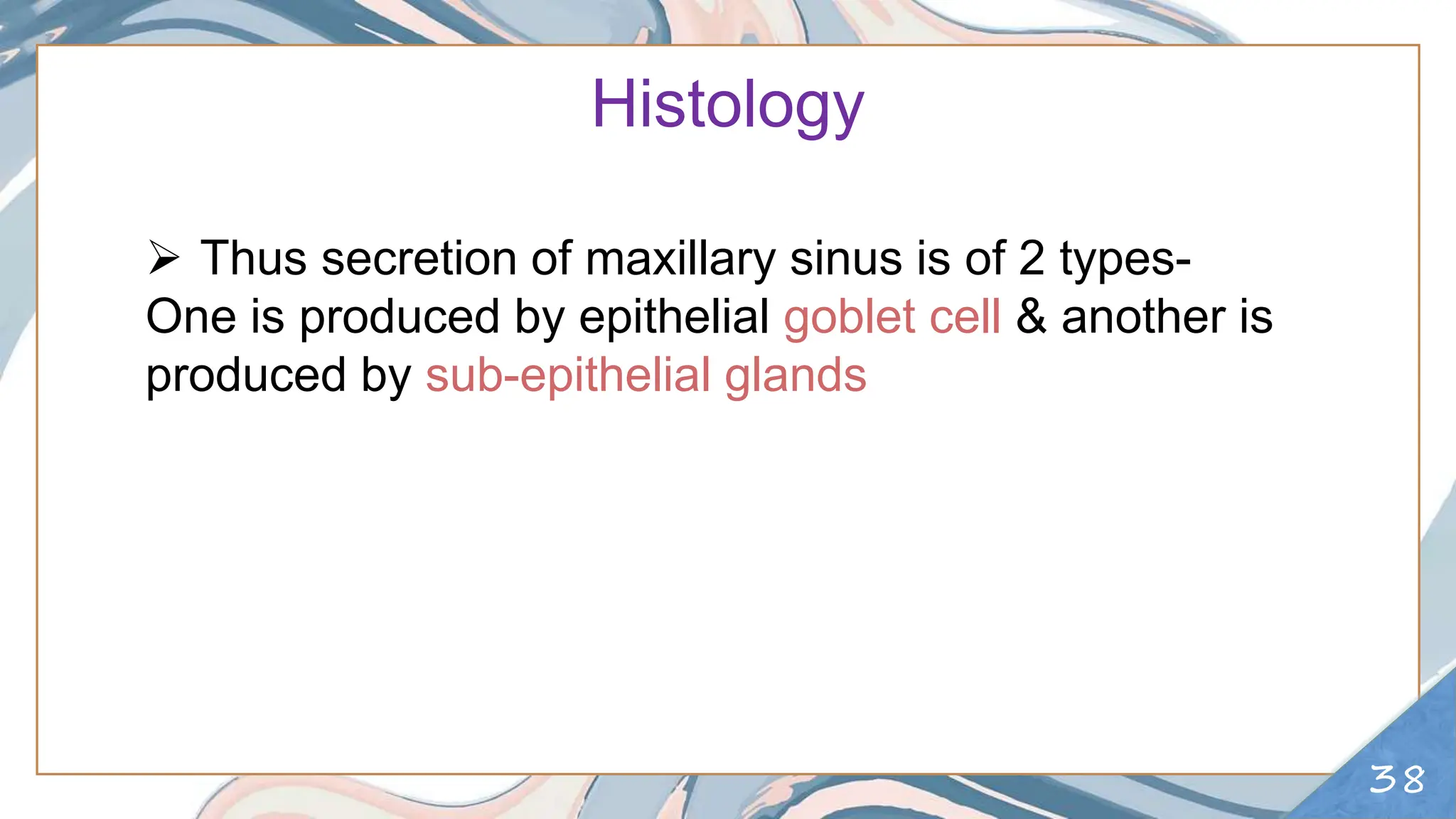 maxillary sinus anatomy histology oralbio | PPTX