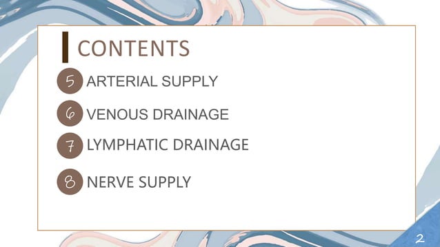 maxillary sinus anatomy histology oralbio | PPTX | Ear, Nose and Throat Conditions | Diseases ...