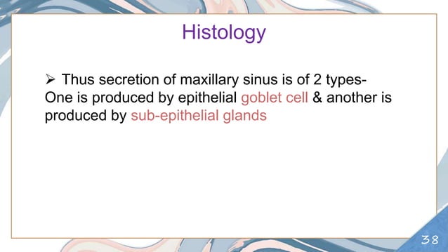 maxillary sinus anatomy histology oralbio | PPTX | Ear, Nose and Throat Conditions | Diseases ...