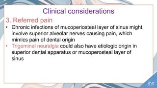 maxillary sinus anatomy histology oralbio | PPTX