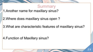 maxillary sinus anatomy histology oralbio | PPTX