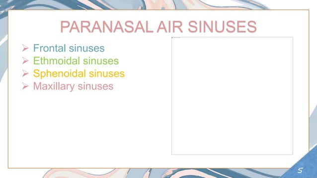 maxillary sinus anatomy histology oralbio | PPTX | Ear, Nose and Throat Conditions | Diseases ...