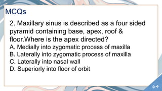 maxillary sinus anatomy histology oralbio | PPTX