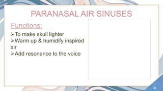 maxillary sinus anatomy histology oralbio | PPTX