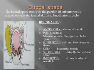 MAXILLARY SPACE INFECTION.pptx