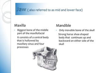 Maxillary surgery | PPTX | Ear, Nose and Throat Conditions | Diseases ...