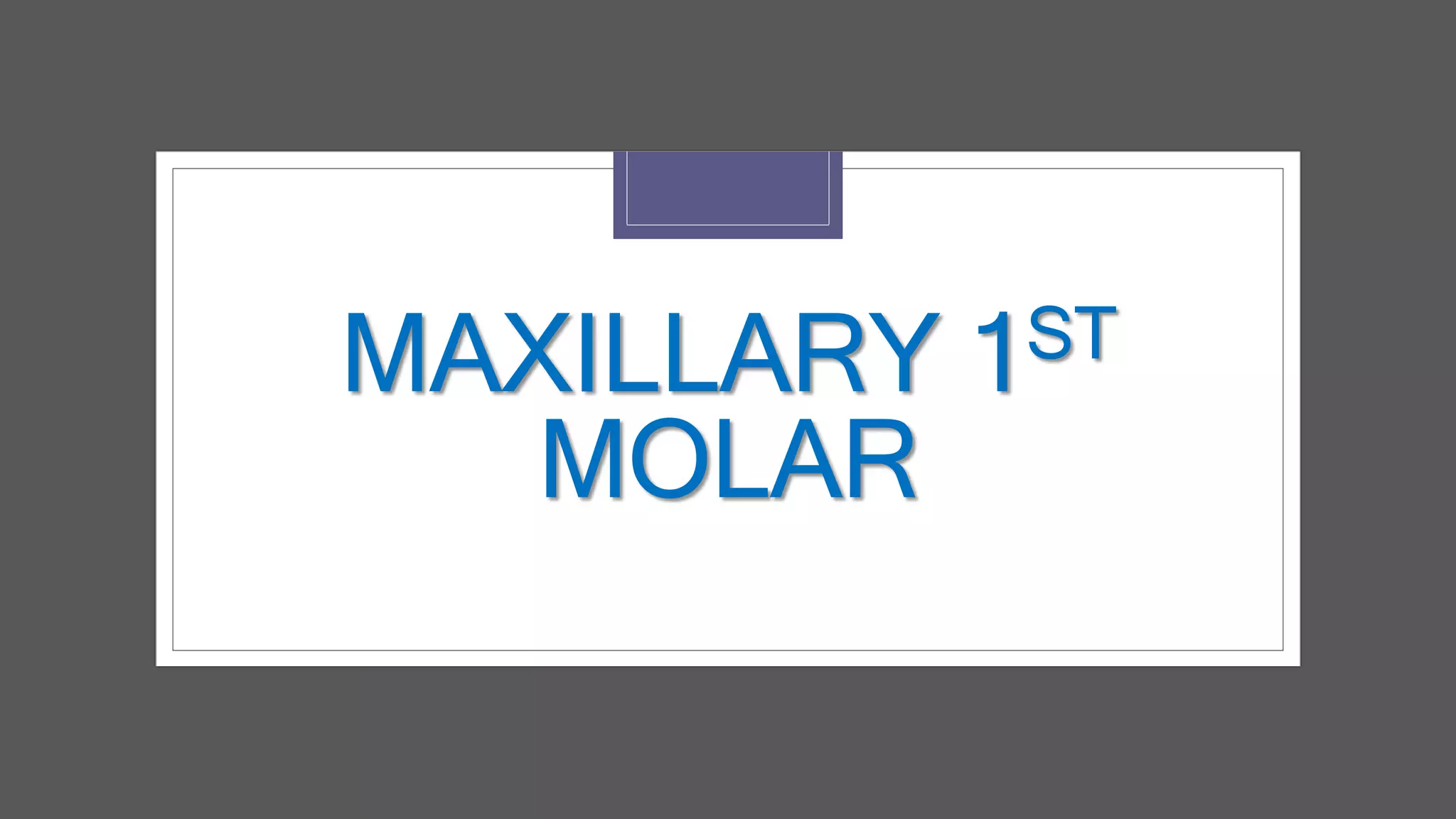 Maxillay First Molar Pptx 6566