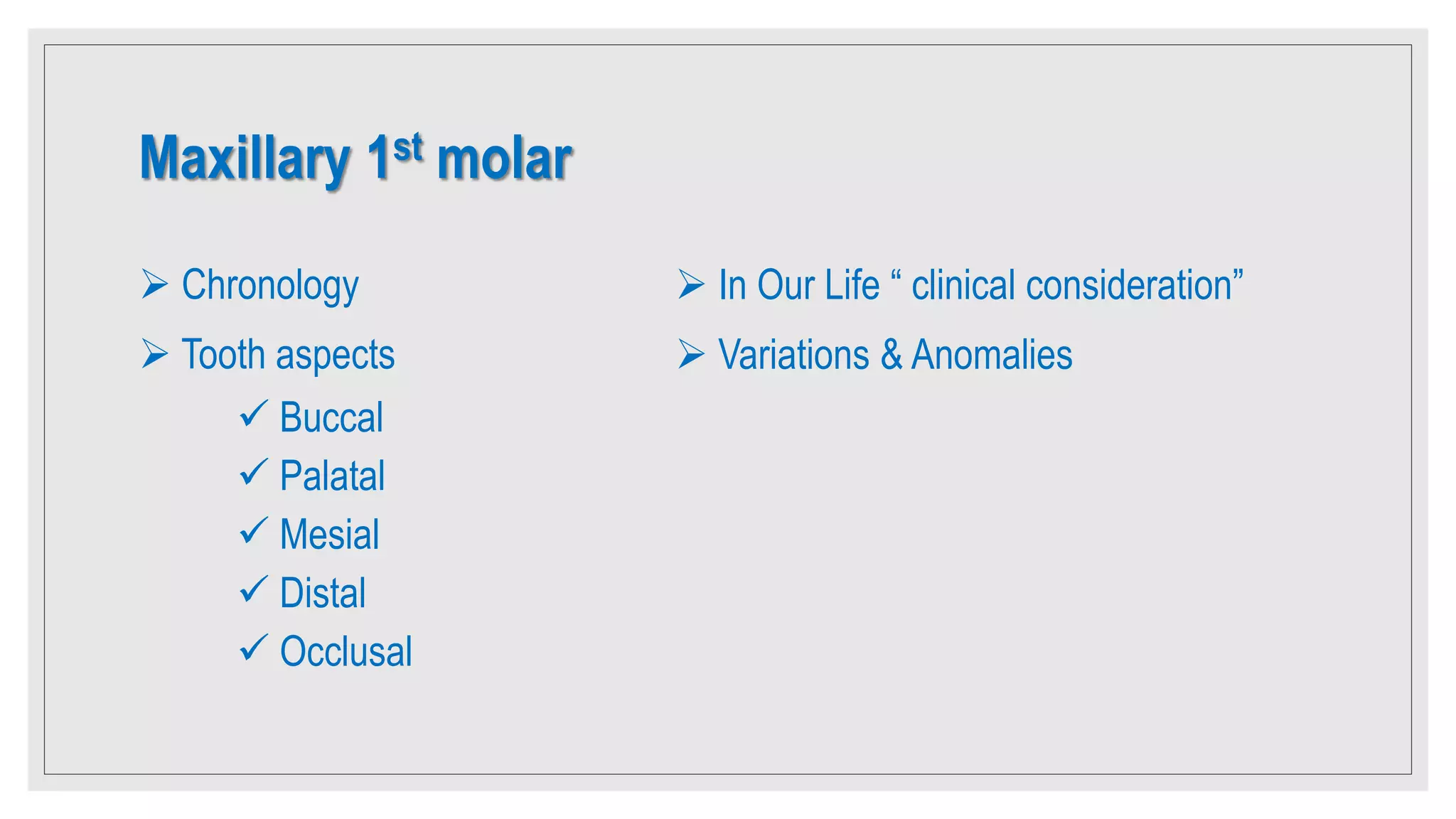 Maxillay first molar | PPTX