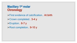 Maxillay first molar | PPTX