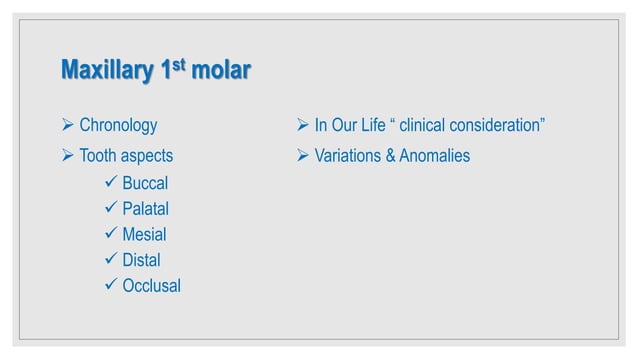 Maxillay First Molar Ppt 4443
