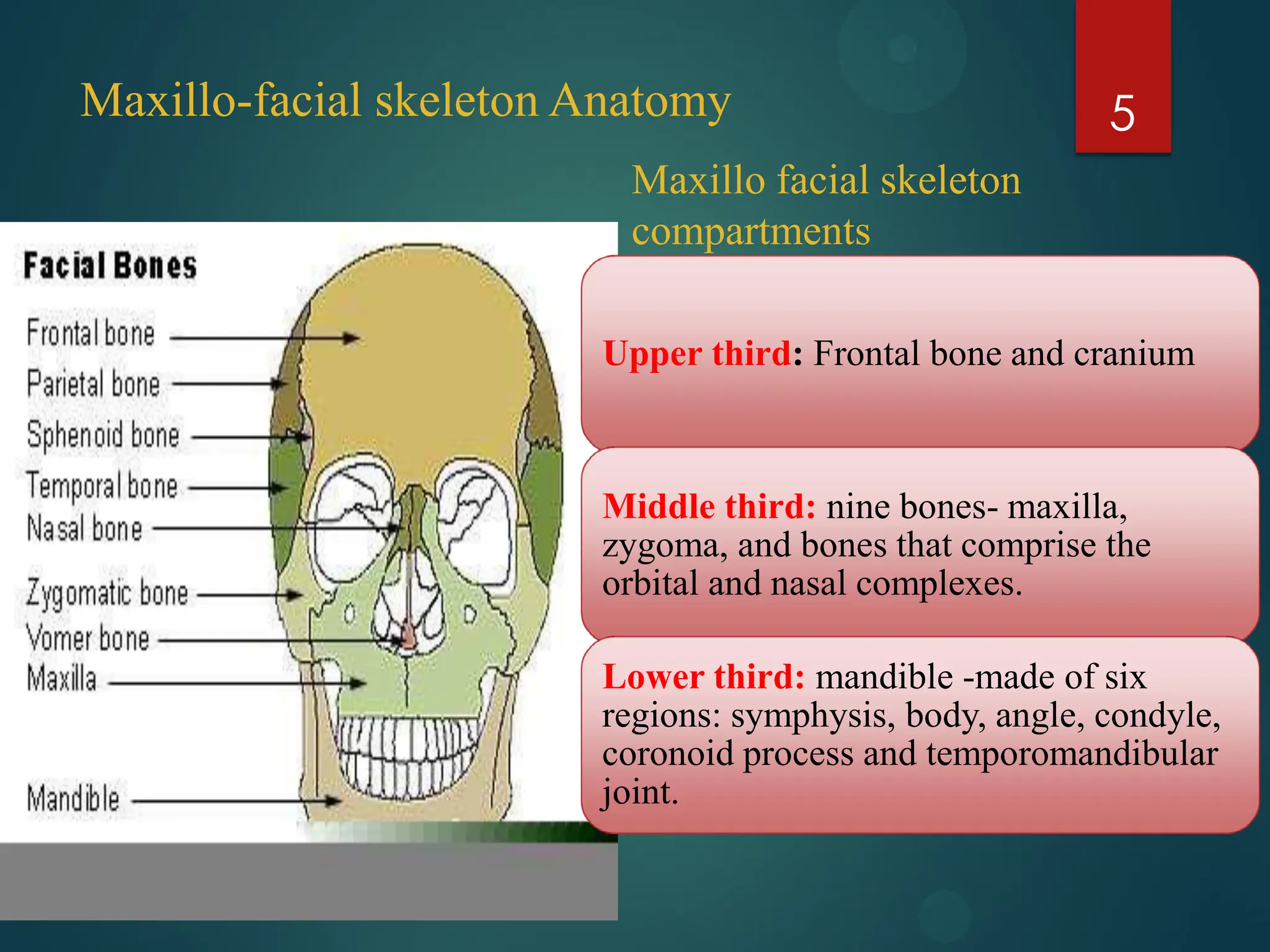 clinical ppt Maxillo facial Anesthesia .pdf