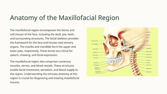 nursing management of Maxillofacial Trauma.pptx
