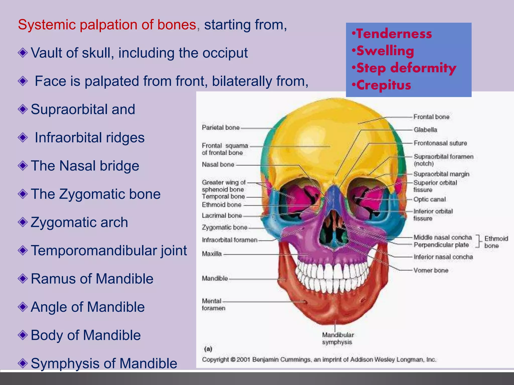 MAXILLO FACIAL TRAUMA (Bailey and Love) | PPTX