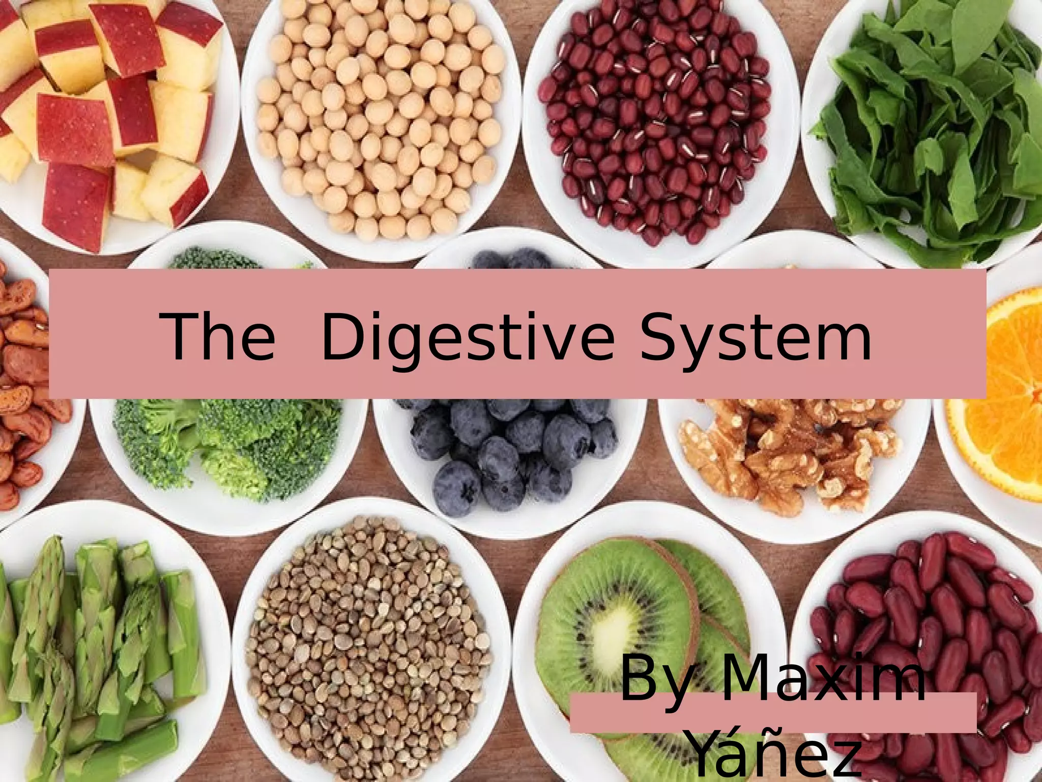 Maxim digestive system | PDF