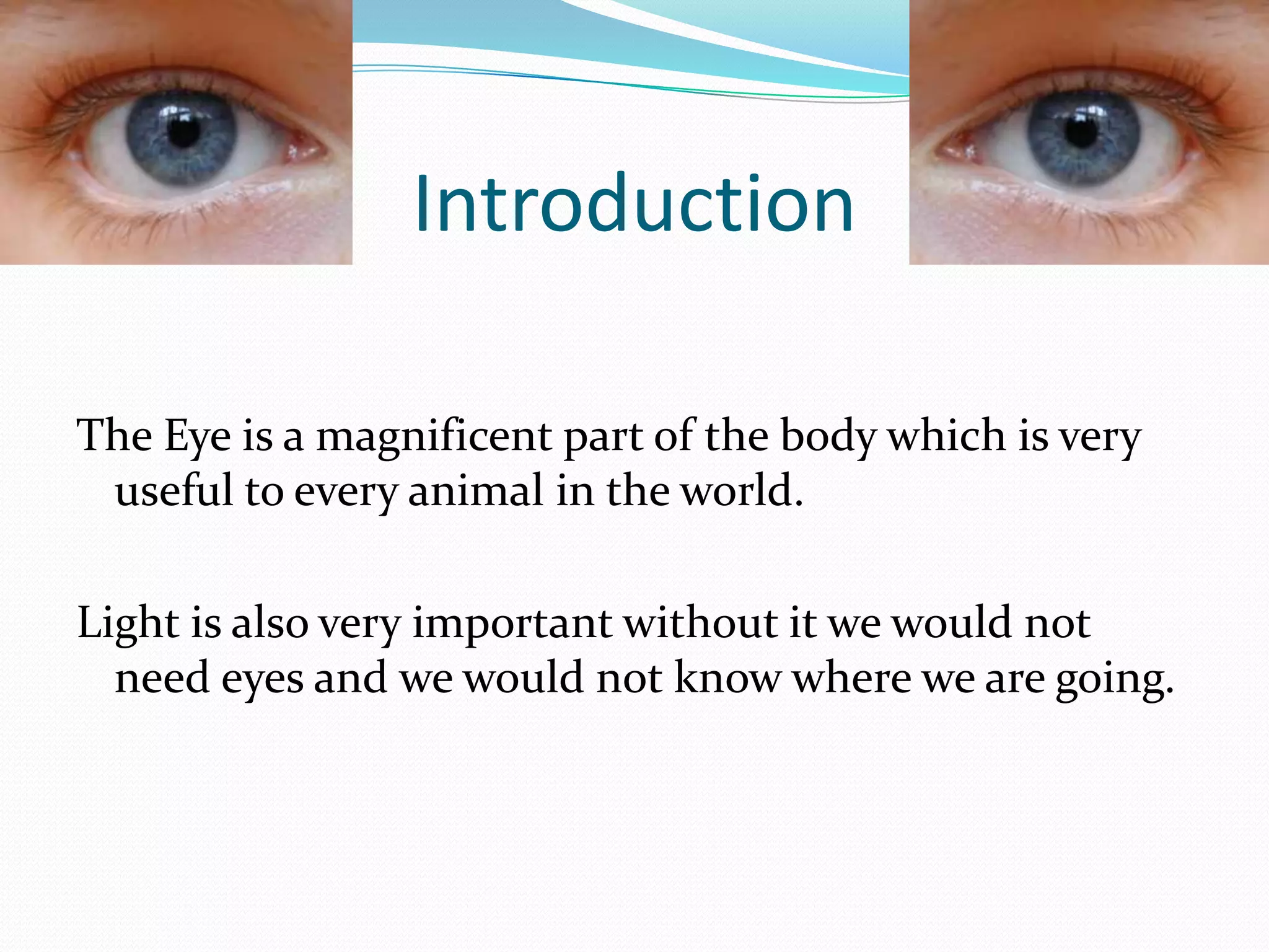 Maximes Light And How We See | PPTX