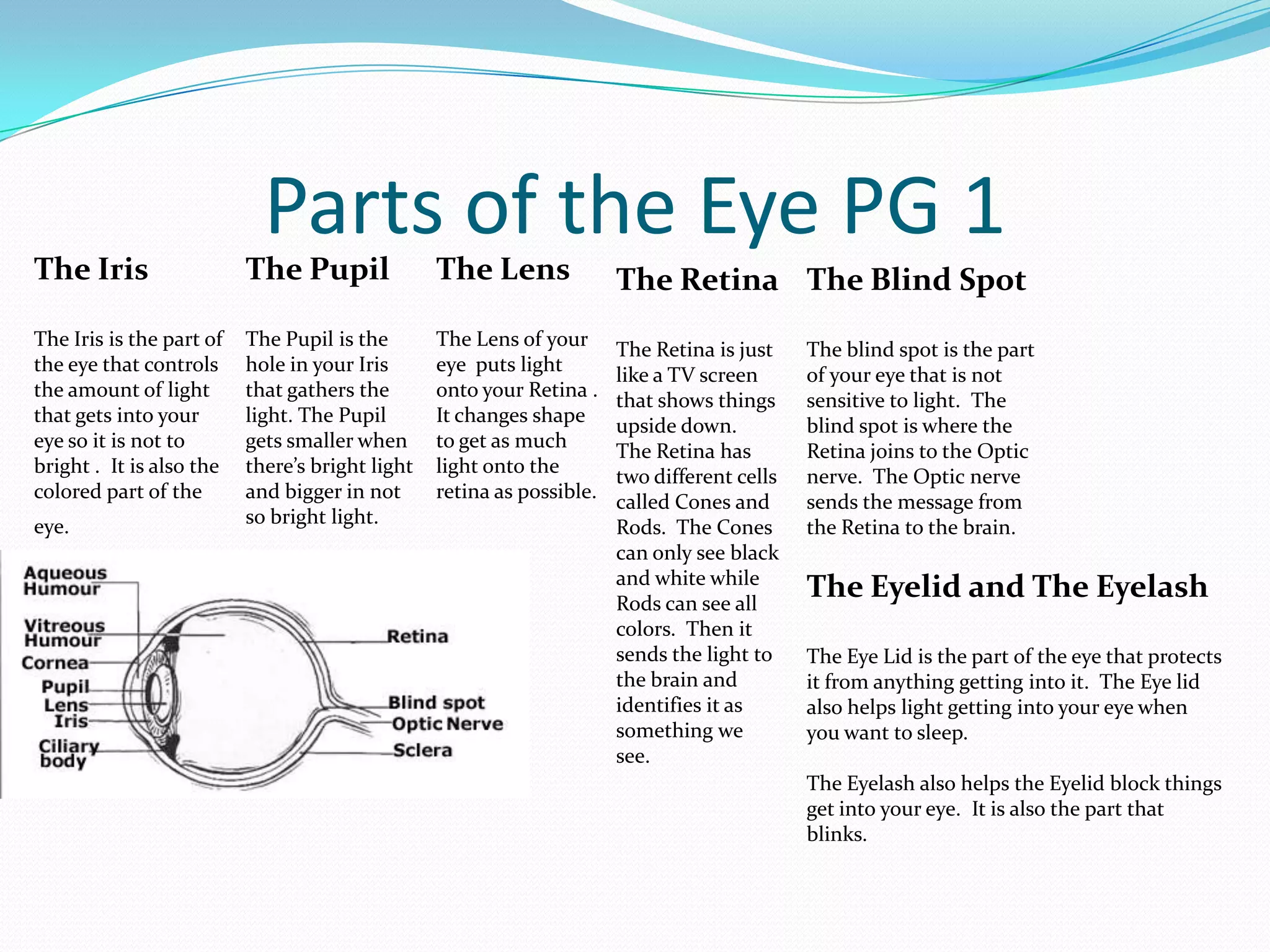 Maximes Light And How We See | PPTX