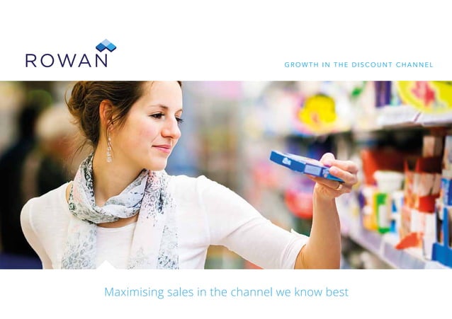 Maximising Sales in the Discount Channel | PDF