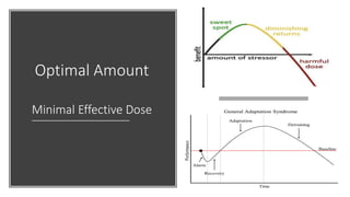 Maximising Training Adaptations - Kildare GAA Youth Athletic ...
