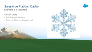 Maximize Apex Performance with Platform Cache | PDF